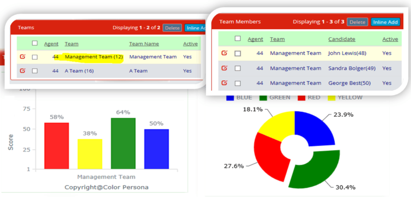 Team Profile Report - Color Persona